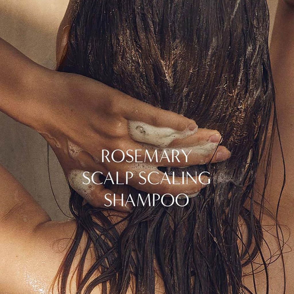 AROMATICA Dầu gội hưởng thảo Rosemary Scalp Scaling Shampoo ...