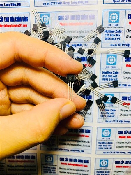 Túi 05 chiếc hall EW-512 EW512 W512 512 W12 S12 Mới Chính Hãng