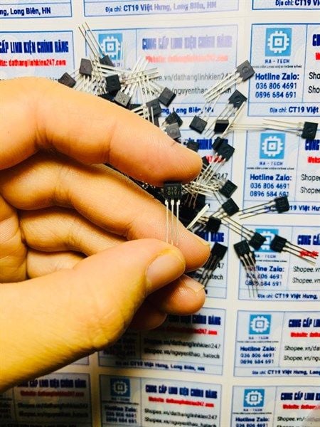 IC Hall - Cảm Biến Hall - Cảm Biến Từ EW-512 EW512 W512 512 W12 S12