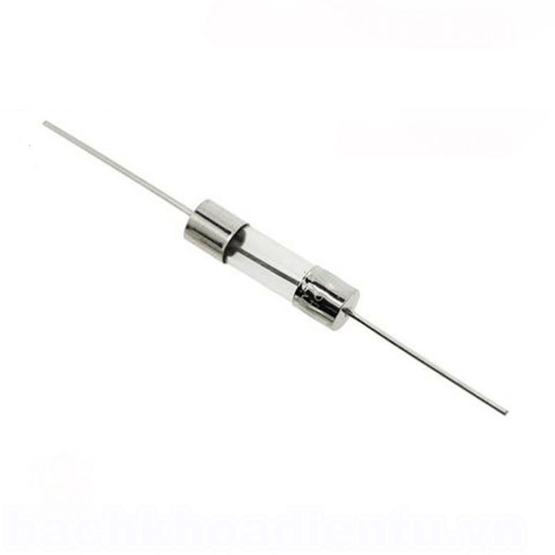 Cầu chì cắm bếp từ 12A – 250V (10c)