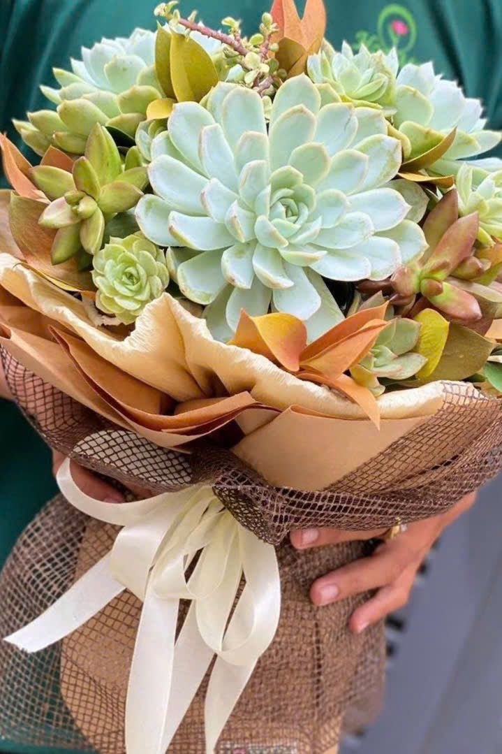 Bó Hoa Sen Đá Dễ Thương 20-10 A036 – archflowers