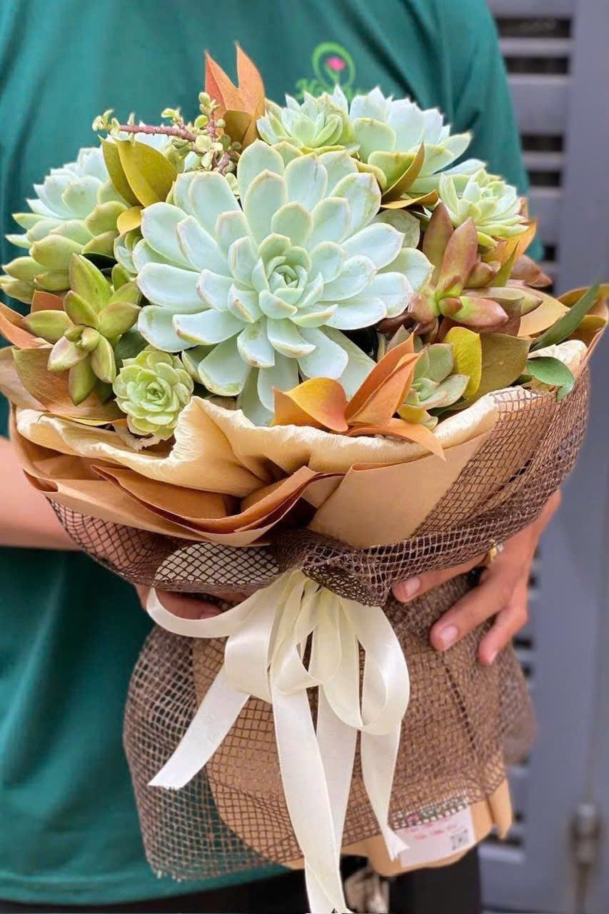 Bó Hoa Sen Đá Dễ Thương 20-10 A036 – archflowers