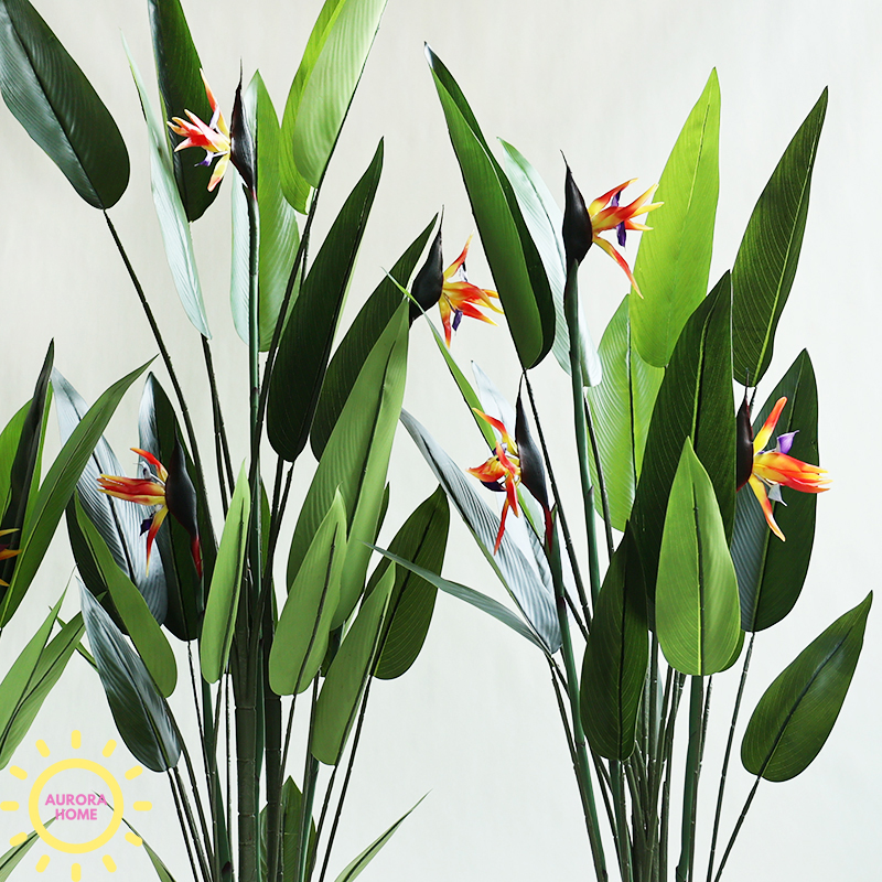 Cây chuối thiên điểu giả đẹp như thật | Aurora Home