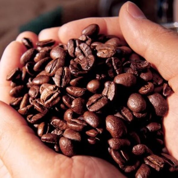 Rượu Cà Phê Halico 25% 250ml - Coffee Liquor – Cỏ Sáu Lá Specialty