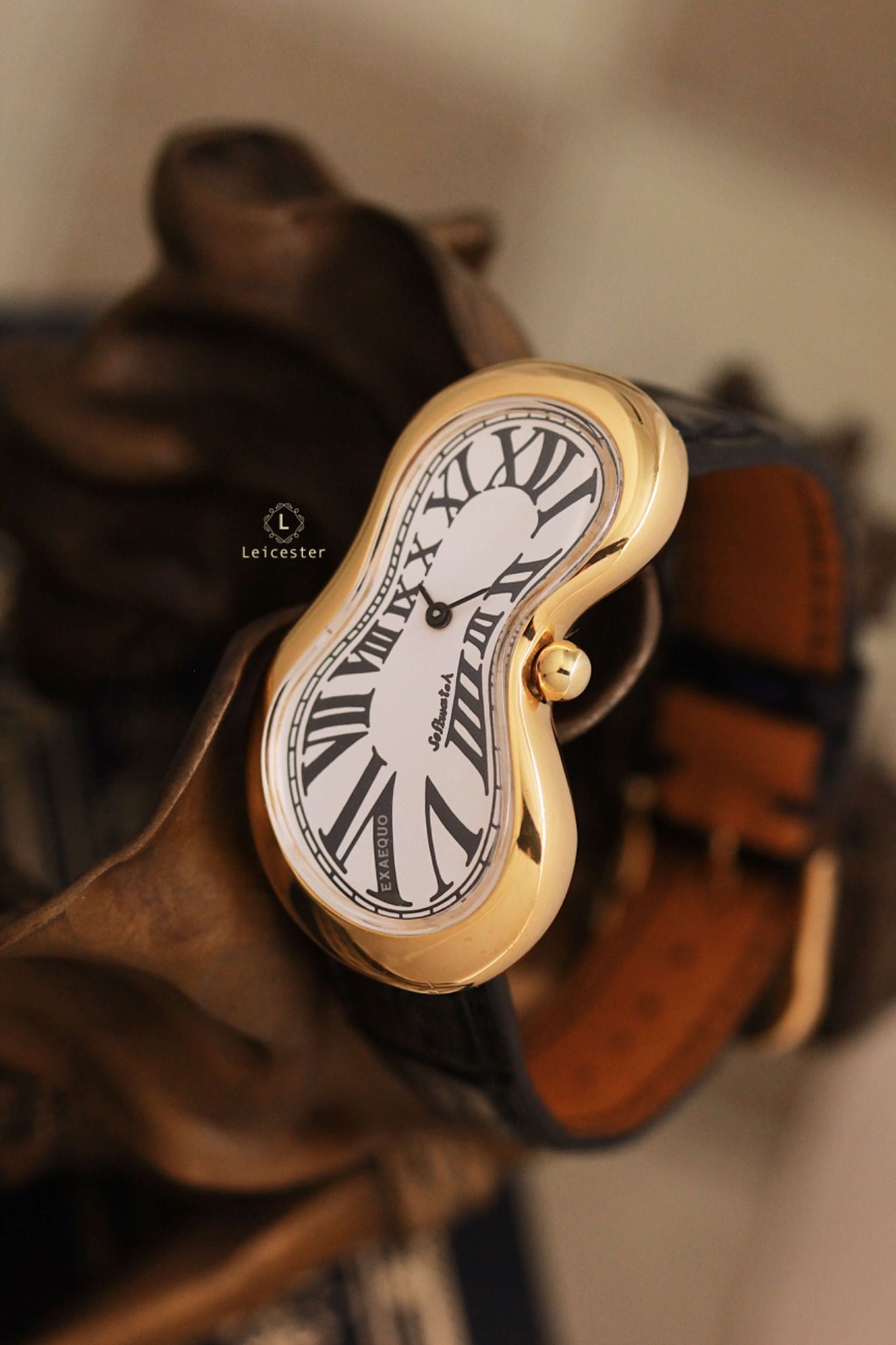 SOFTWATCH EXAEQUO – Leicester