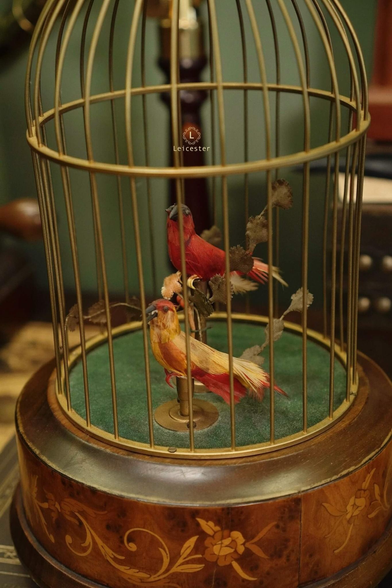 Singing Bird Cage Eschle – Leicester