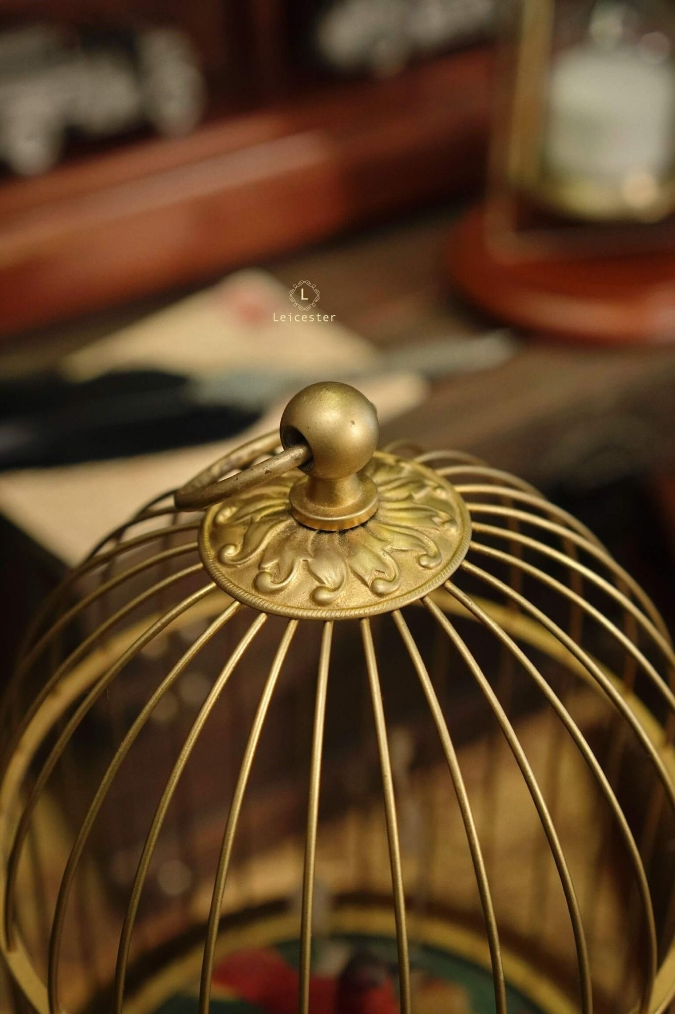 Singing Bird Cage Eschle – Leicester