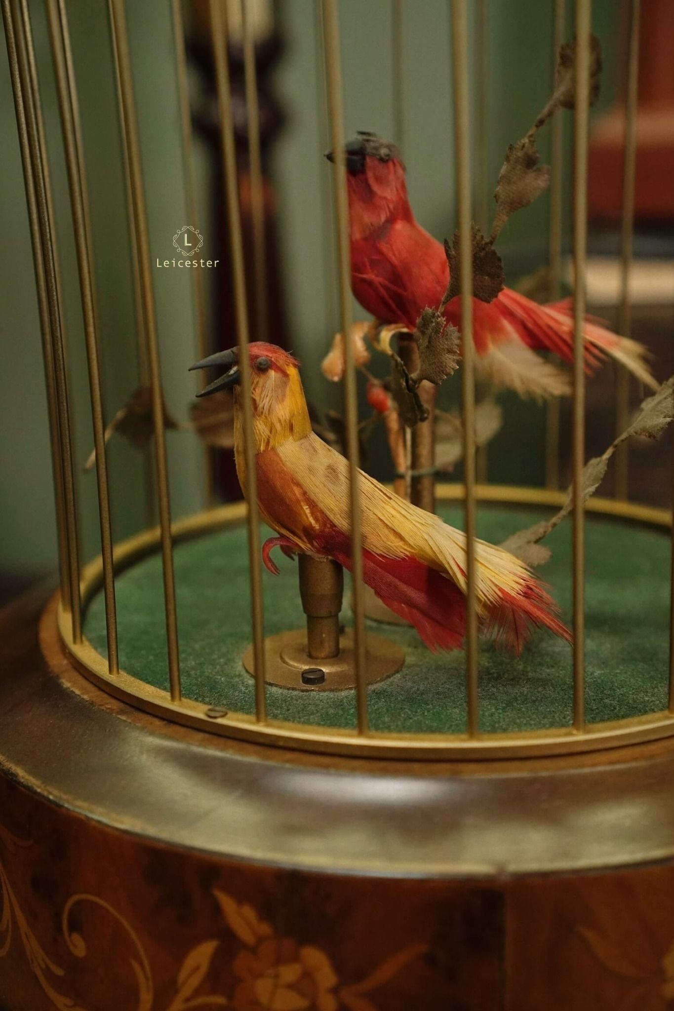 Singing Bird Cage Eschle – Leicester