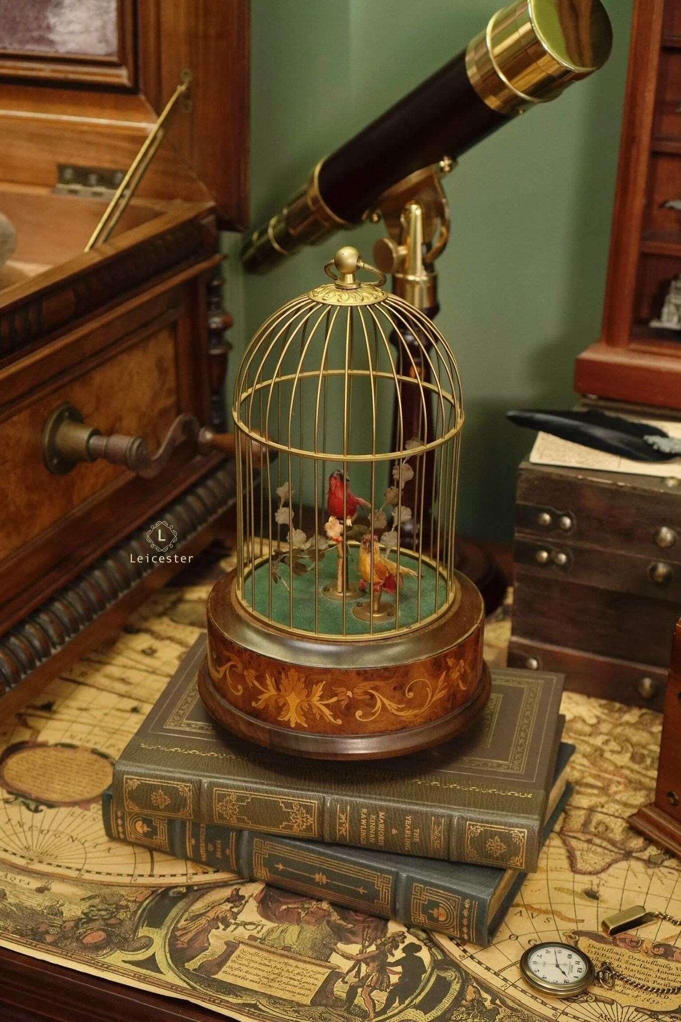 Singing Bird Cage Eschle – Leicester