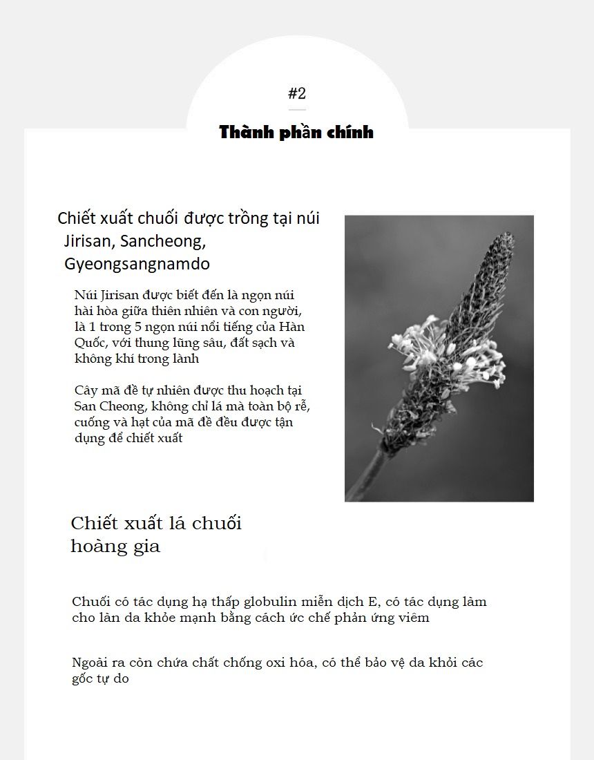 Bộ 3 tháng tinh chất dưỡng tóc Ezenna – Siêu Thị Hàn