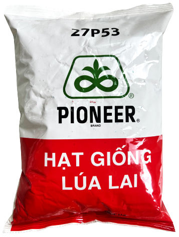 27P53 - Giống lúa lai F1 (1 kg) – Hạt giống Trường Phúc