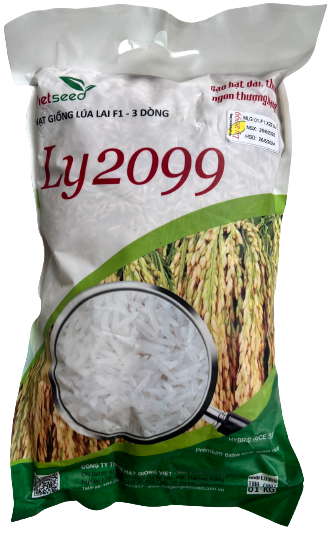 Giống lúa lai 3 dòng LY2099 – Hạt giống Trường Phúc