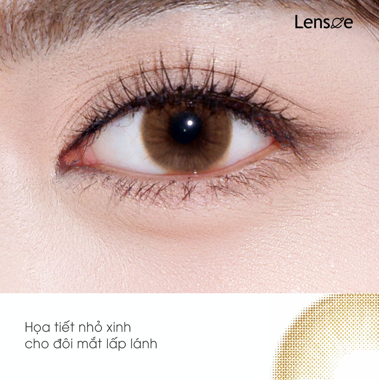 LUNAR BROWN – Lensee