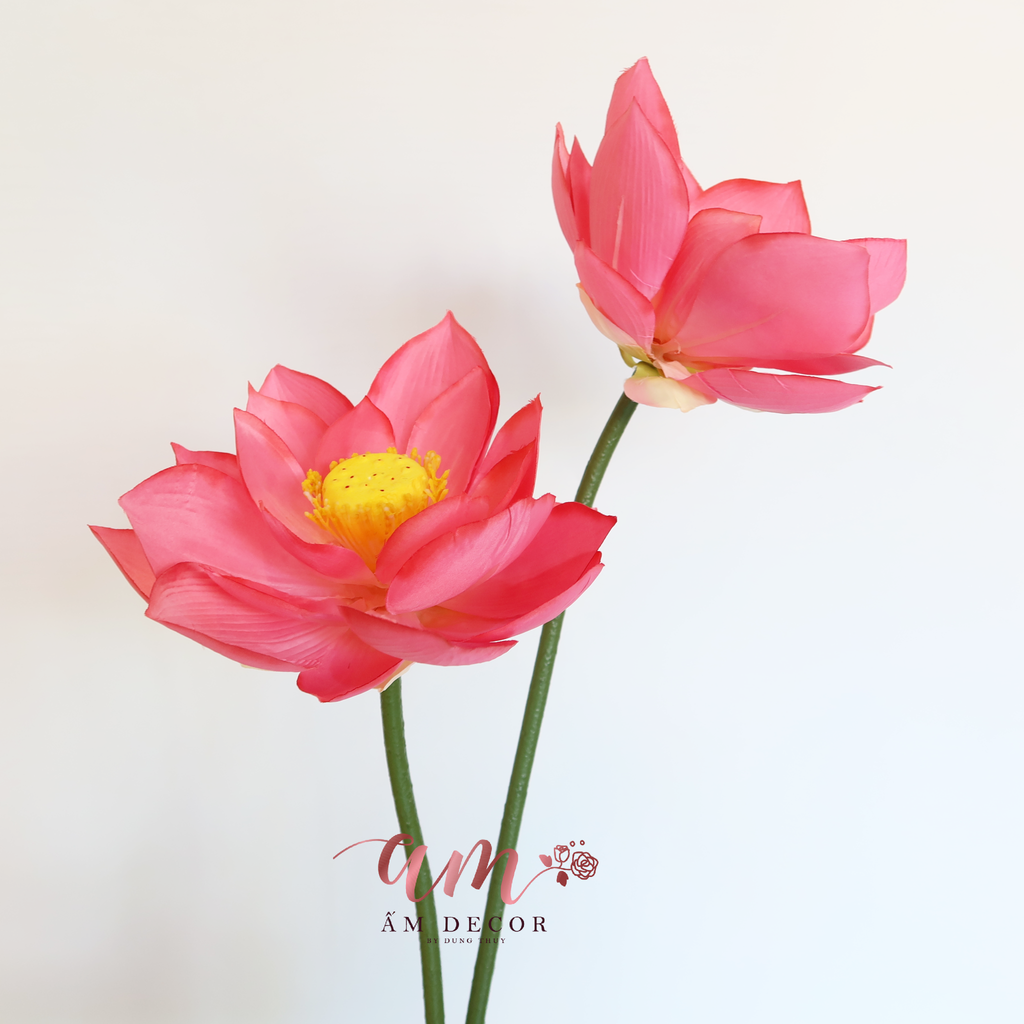 HOA SEN NỞ – Ấm Decor