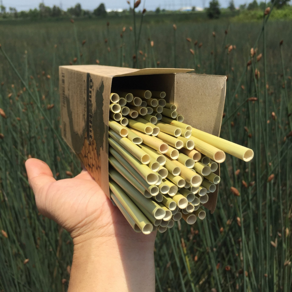 Ống Hút Cỏ Bàng Hộp Size 15 – Green Craft - Miền Tây Xanh