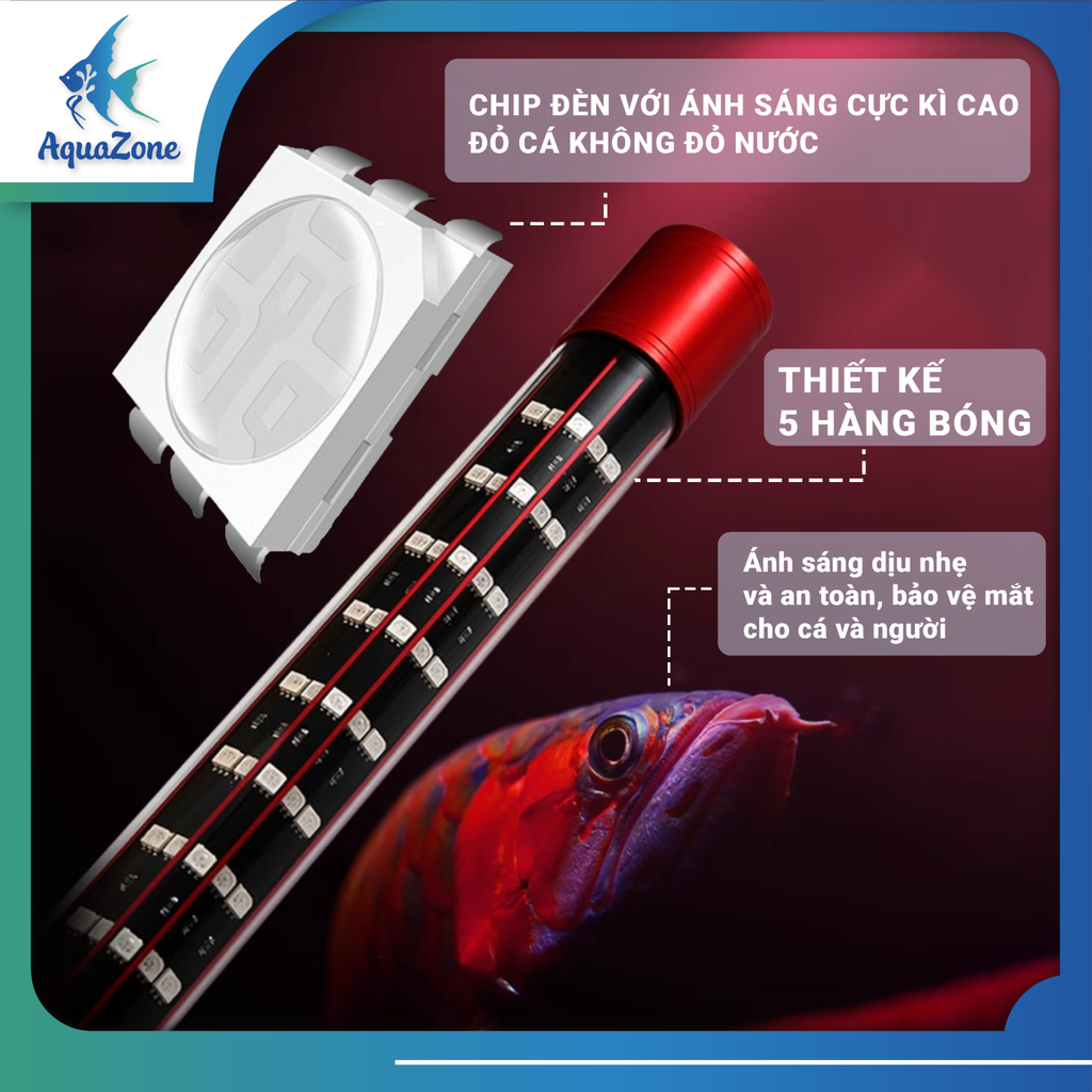 Đèn led No.1 làm bật tone màu cá - đèn tròn 5 hàng bóng N950 - AquaZone - Siêu thị cá cảnh