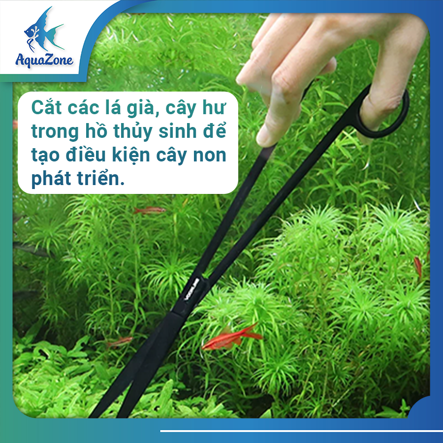 Kéo cắt tỉa cây thủy sinh Vooline thép cacbon không gỉ - Dụng cụ trồng ...