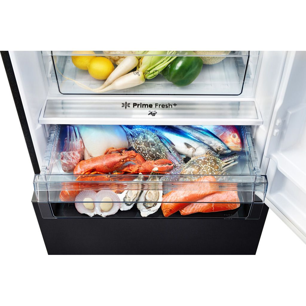 Tủ lạnh Panasonic 420 lít Inverter NR-BX471WGKV (2 Cánh)