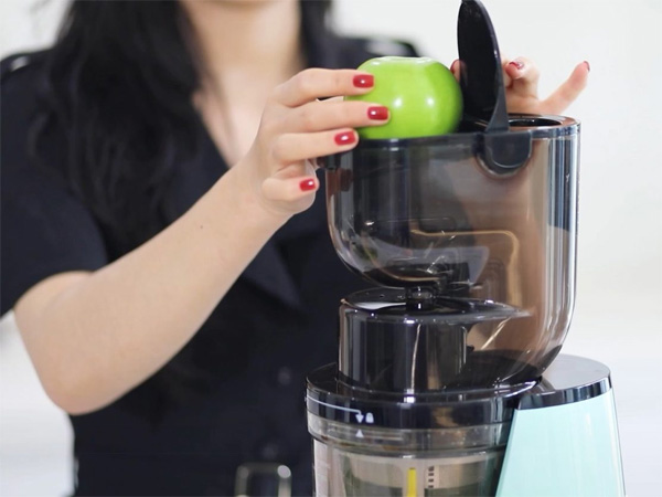 Máy ép chậm Kalite KL-598