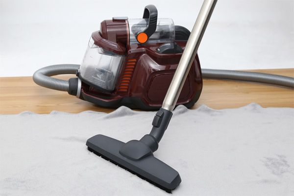 Máy hút bụi Electrolux ZSP4303AF
