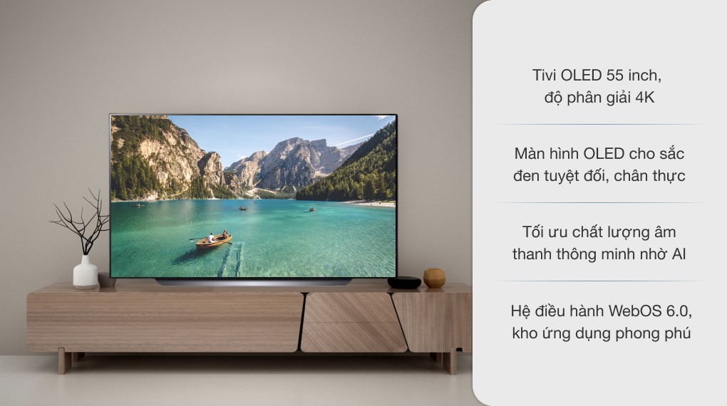 Smart Tivi LG OLED 4K 55 inch OLED55C1PTB [ 55C1 ]