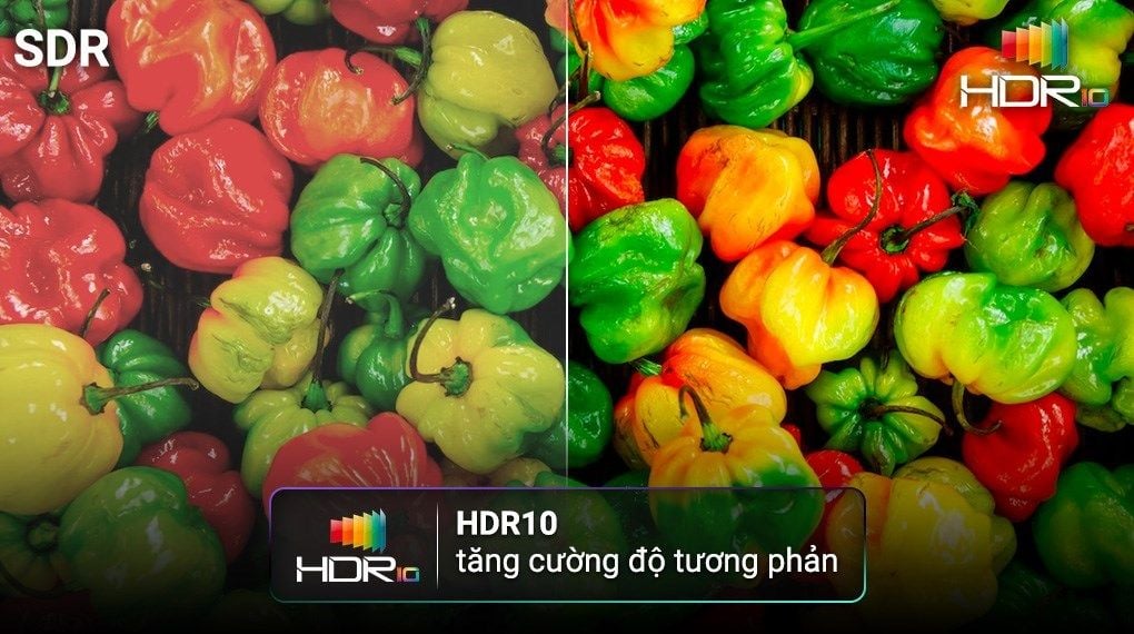 Smart Tivi LG OLED 4K 55 inch OLED55A3PSA [55A3]