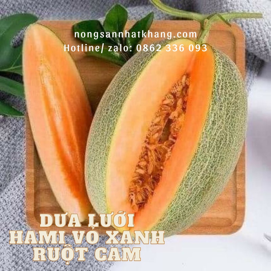 Hạt Giống Dưa Lưới Hami Vỏ Xanh Ruột Cam Nongsan Nhatkhang