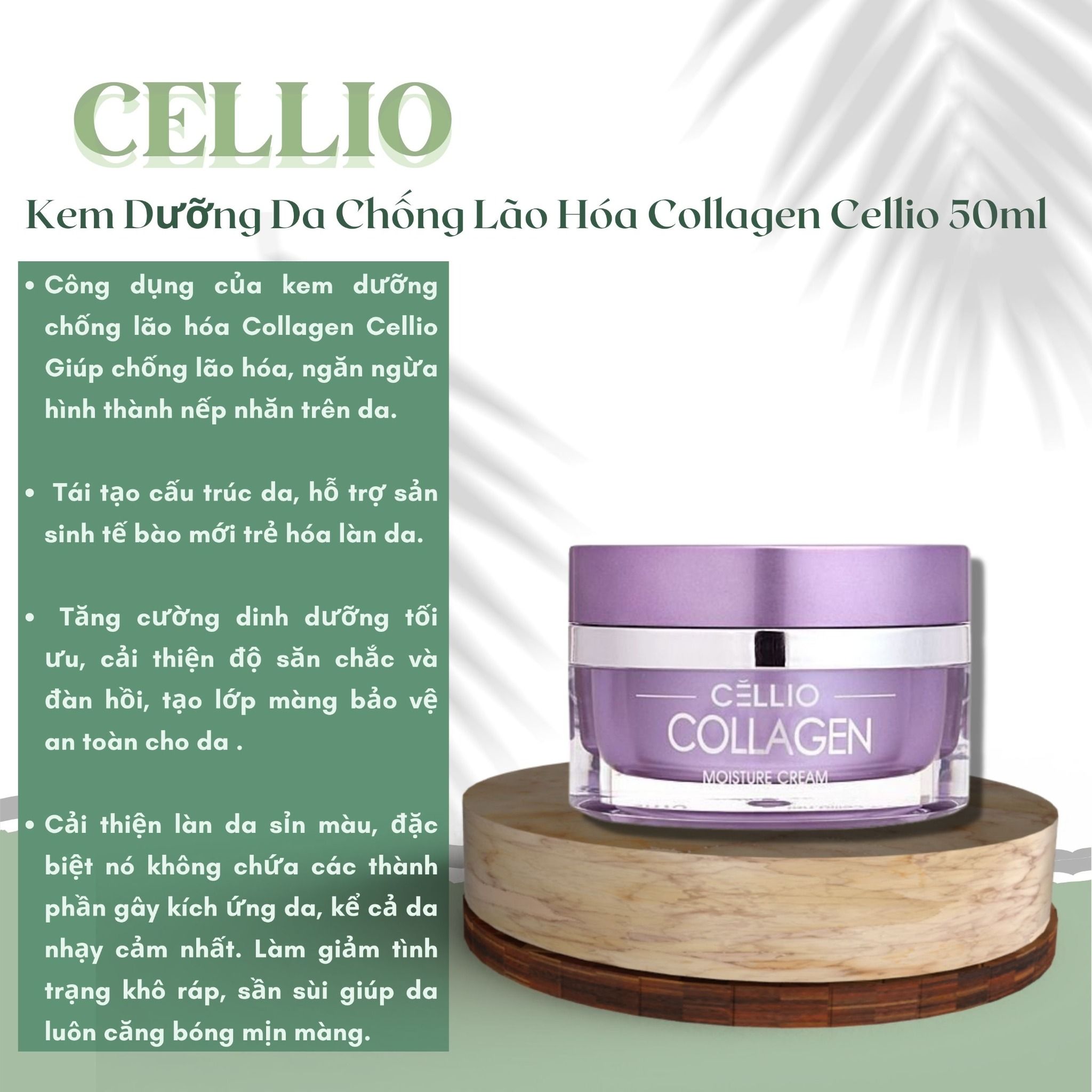 Kem Dưỡng Da Chống Lão Hóa Collagen Cellio 50ml – Amok.Beauty