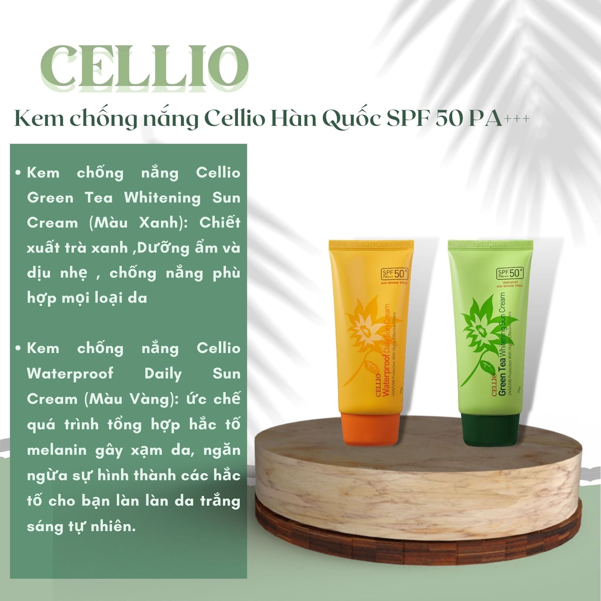 Kem Chống Nắng Cellio Sun Cream SPF50 PA+++70g – Amok.Beauty