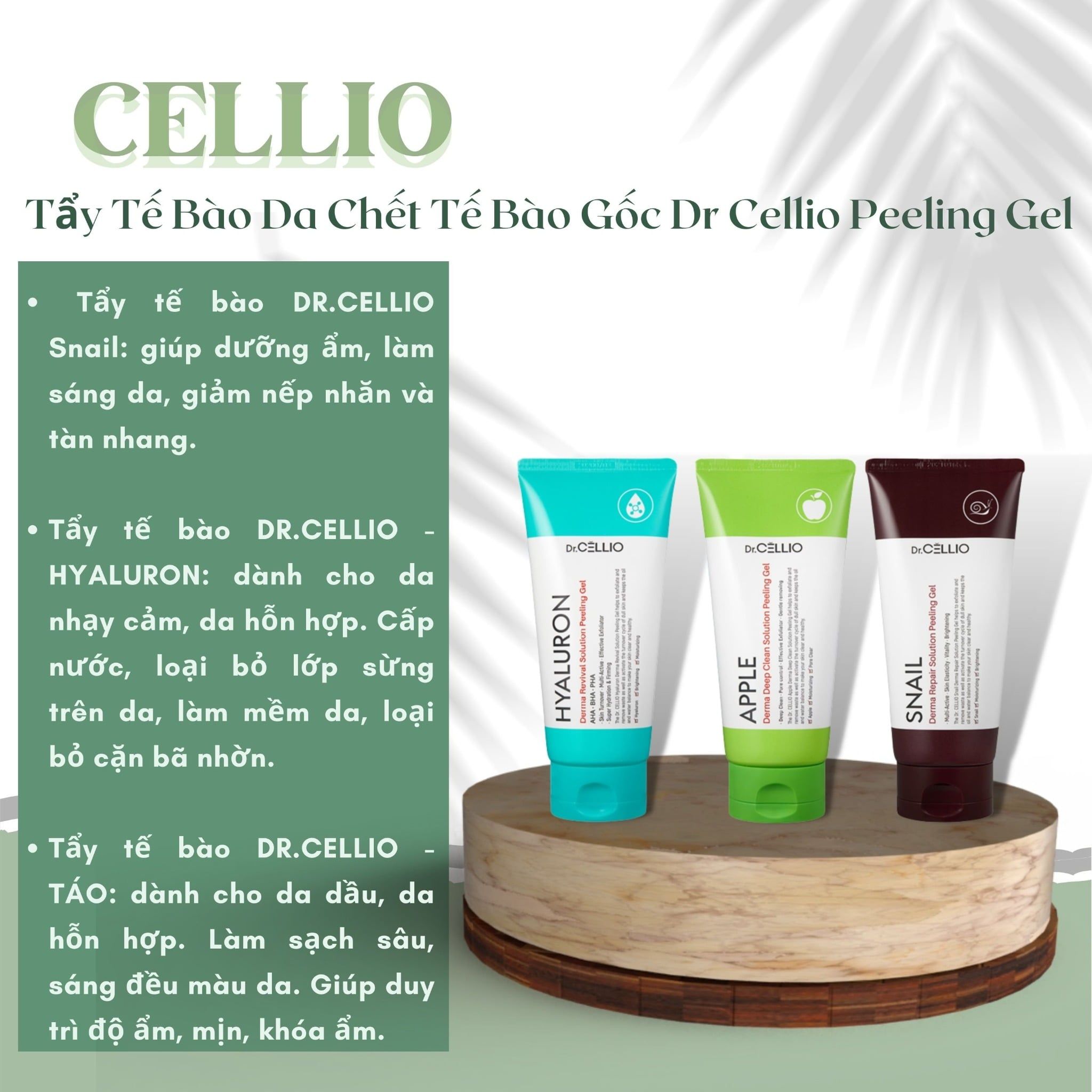 Tẩy da chết Dr.CELLIO – Amok.Beauty