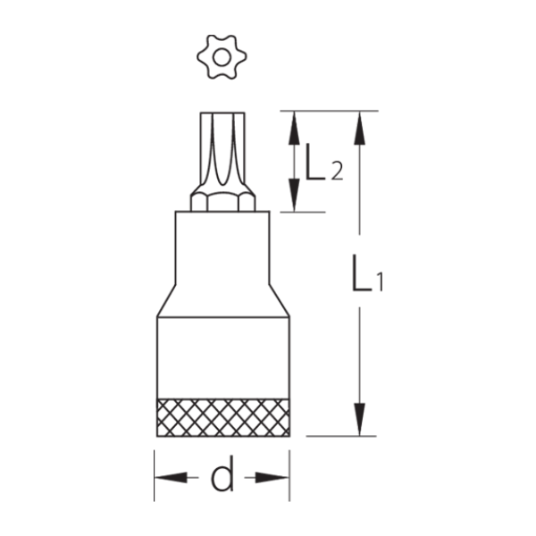 ĐẦU TUÝP MŨI VÍT HOA THỊ CÓ LỖ 1/2" TORX T20 GEDORE NO. ITX 19 B T20 6 – germantools