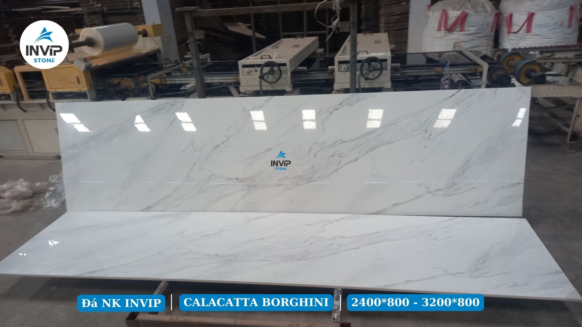 Đá nung kết CALACATTA BORGHINI – InVip Stone