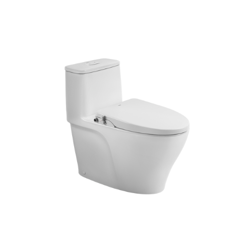 Bồn cầu nắp rửa cơ INAX AC-989/CW-S15VN