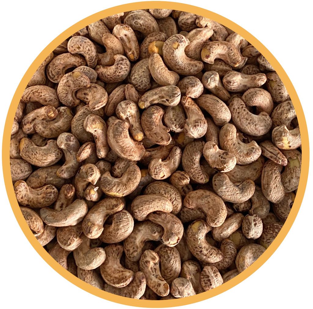ROASTED CASHEW NUTS – OTIS BÌNH PHƯỚC