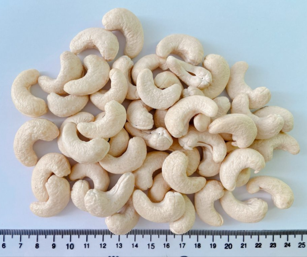 CASHEW KERNELS WW180 – tmp global