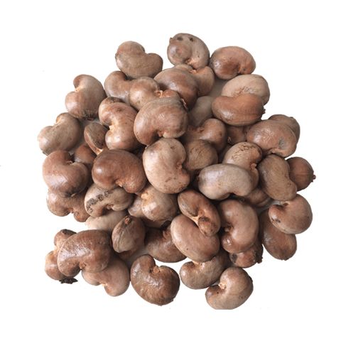 CASHEW NUT DW – tmp global