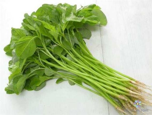 Rau dền – Lins Food Mart