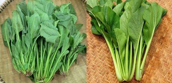 Rau cải ngọt – Lins Food Mart