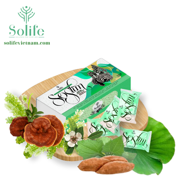 KẸO SOCOLA RONG NHO LINH CHI SOSLIM - DETOX MỠ AN TOÀN HIỆU QUẢ NHANH – Solifevietnam