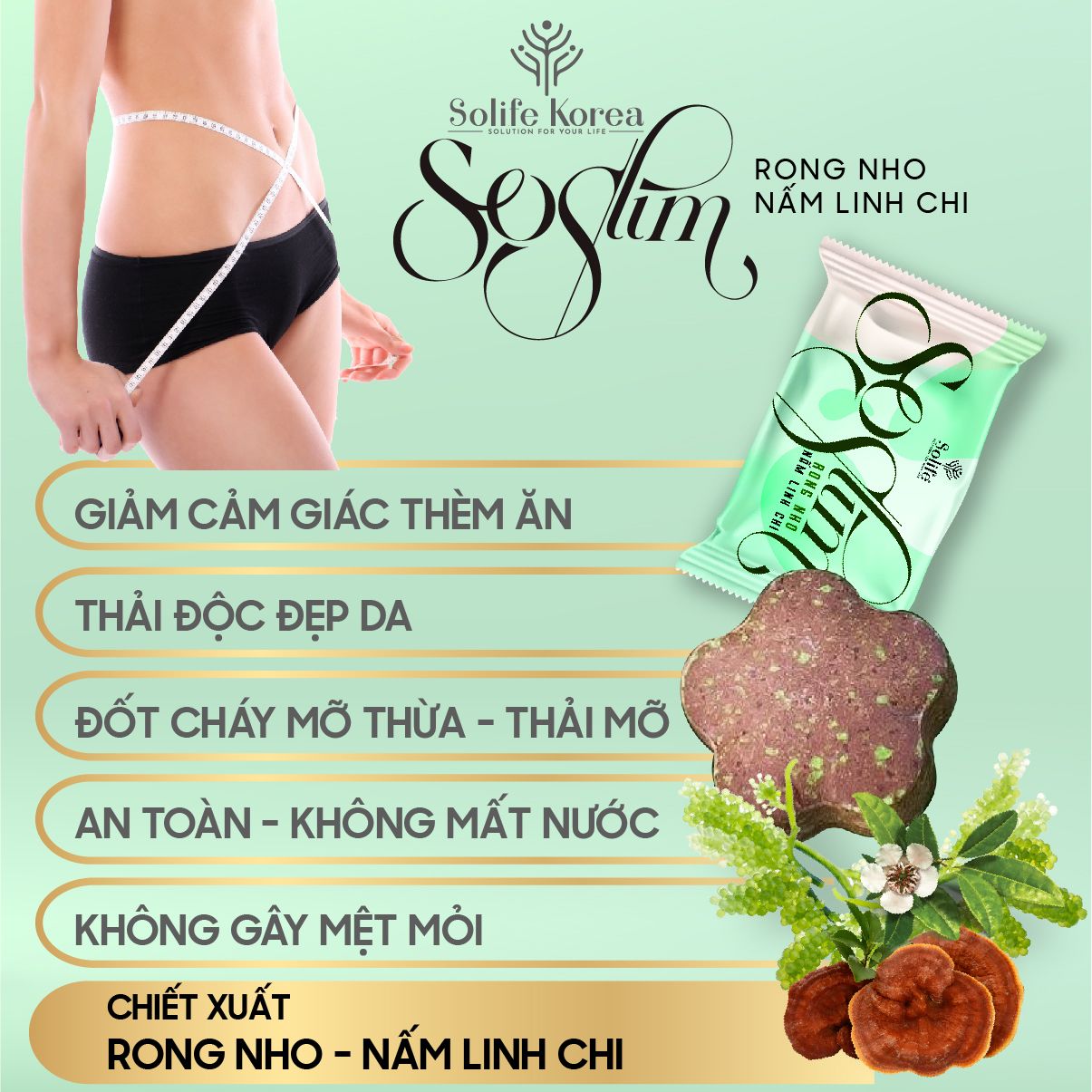 KẸO SOCOLA RONG NHO LINH CHI SOSLIM - DETOX MỠ AN TOÀN HIỆU QUẢ NHANH – Solifevietnam