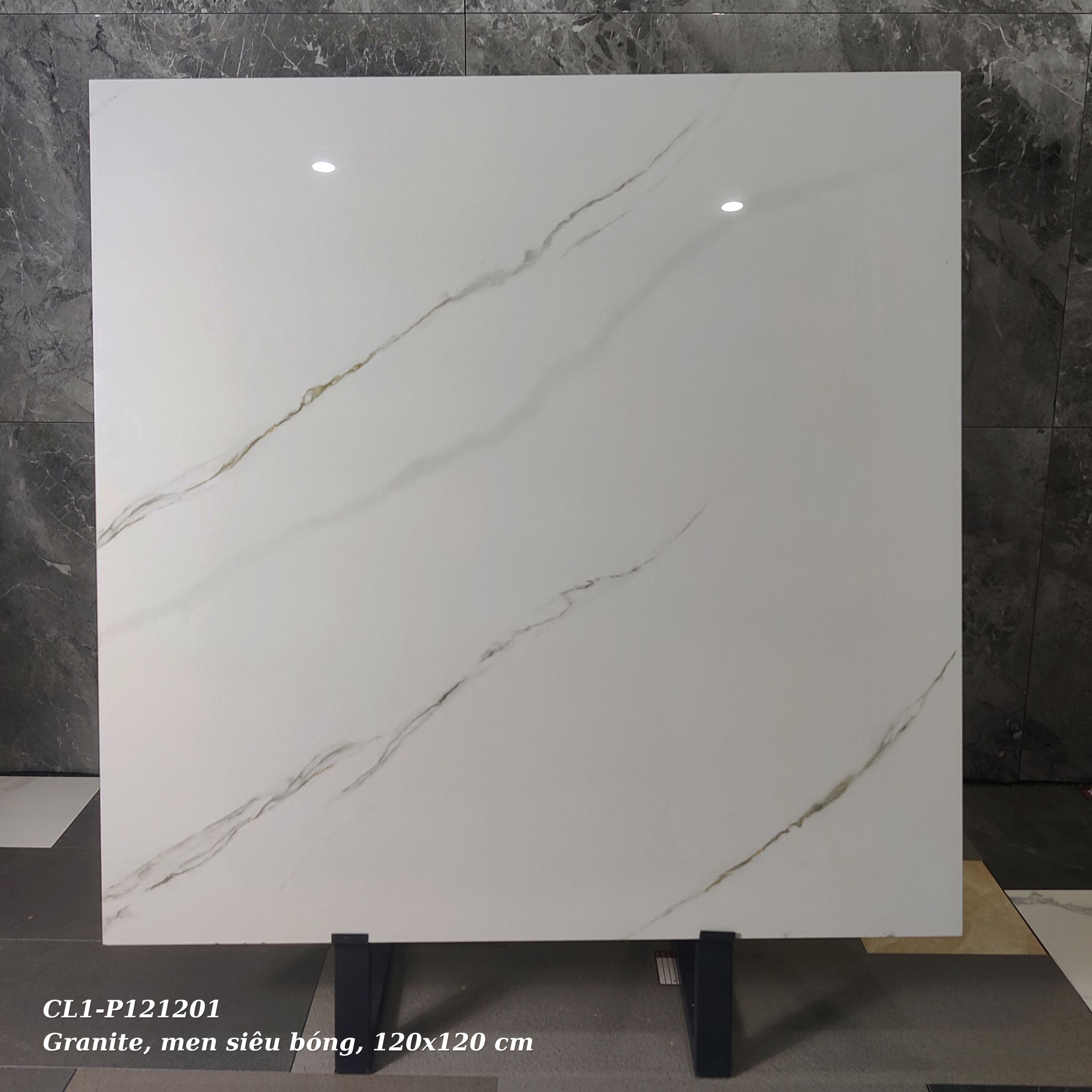 Gạch Viglacera 120x120 CL1-P121201 – Đức Việt Ceramic