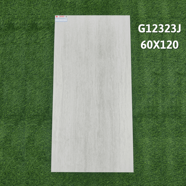 GẠCH TAICERA G12323J 60x120 – Đức Việt Ceramic