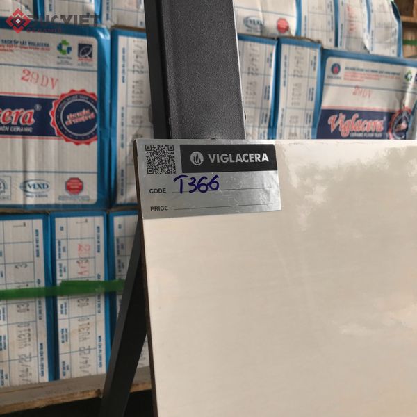 Gạch Viglacera 30x60 T366 – Đức Việt Ceramic