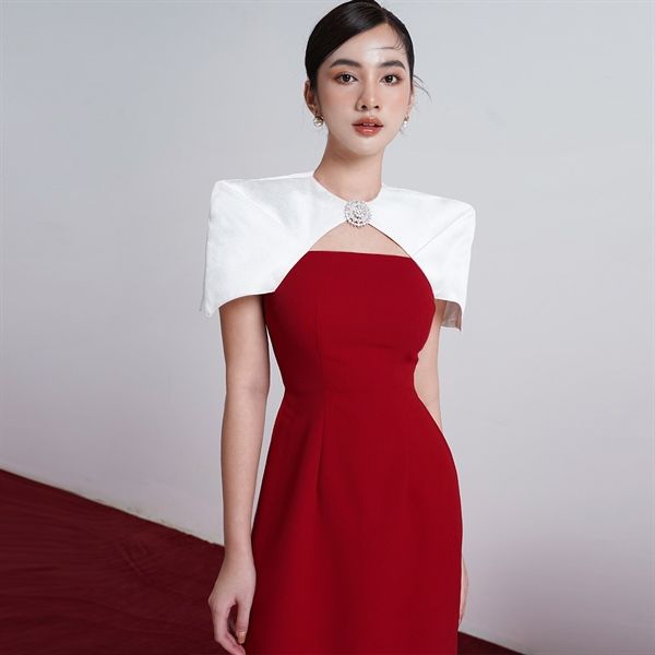 AD007 - Áo dài Họa Bì – Bydi