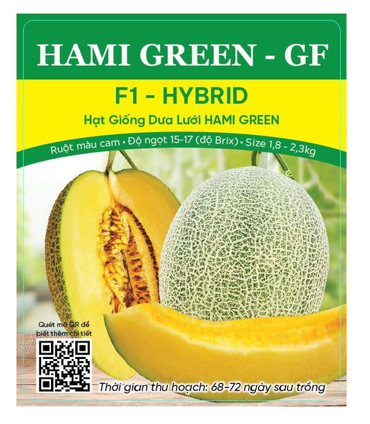 Hạt Giống Dưa Lưới Hami Xanh Ducthienseed