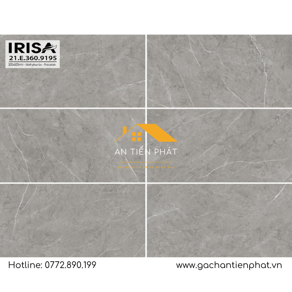 Gạch AMY GRES 30x60 21.E.360.9195 bề mặt mờ (Matt) xương Porcelain ...