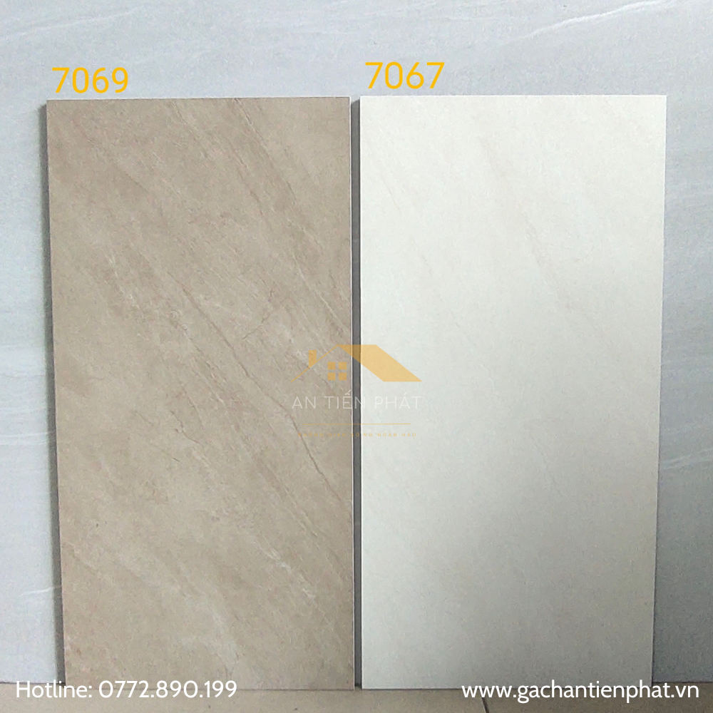Gạch Tasa 30x60 7069 7067 bề mặt mờ xương porcelain An Tiến Phát - Gạch ...