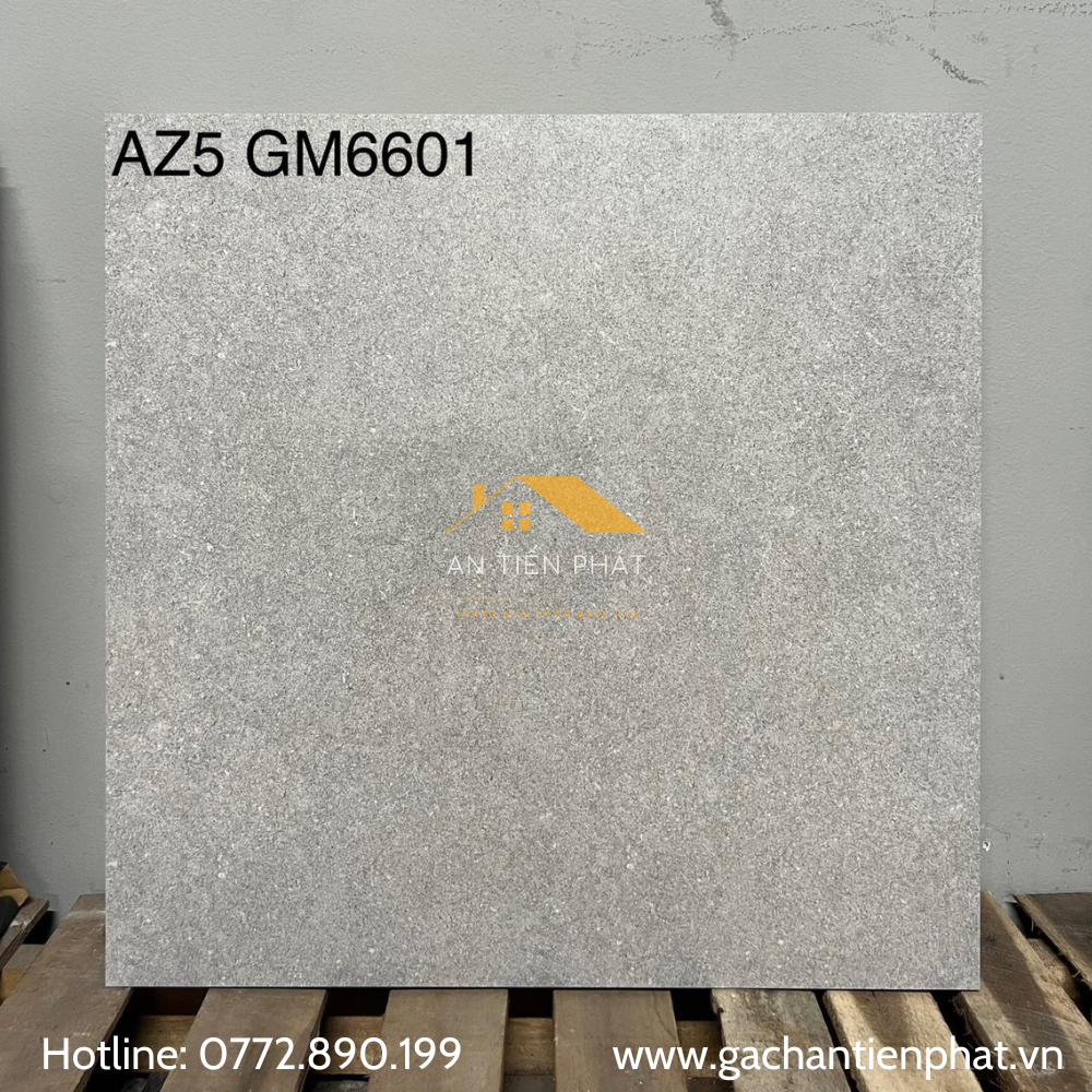 Gạch Viglacera 60x60 Arizona AZ5 GM6601 bề mặt mờ xương porcelain ...