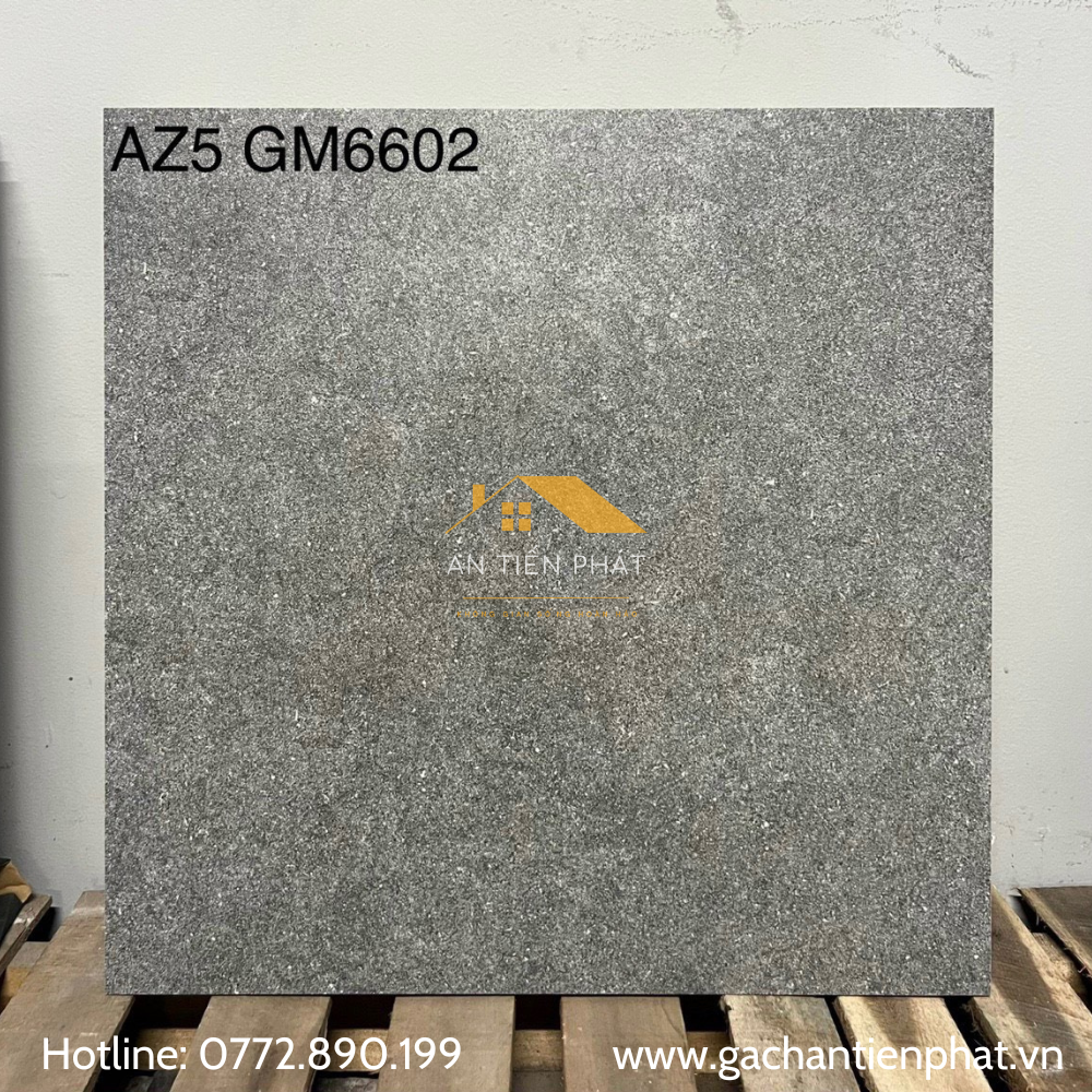 Gạch Viglacera 60x60 Arizona AZ5 GM6602 bề mặt mờ xương porcelain ...