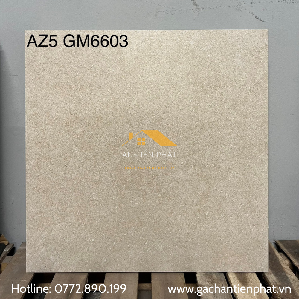 Gạch Viglacera 60x60 Arizona AZ5 GM6603 bề mặt mờ xương porcelain An ...